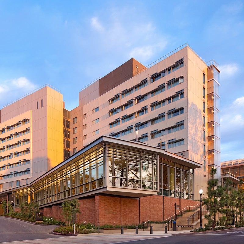 Bruin Plate – Dining